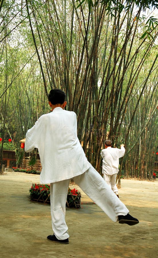 Taiji editorial stock image. Image of forest, tree, work - 21082159