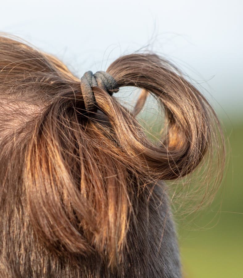 Tail on the head of a man. stock image. Image of modern - 265996939