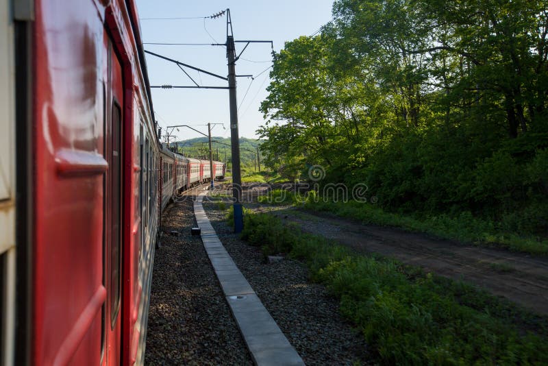 The Tail of a Red Passenger Train Rides among Green Trees Stock Image ...