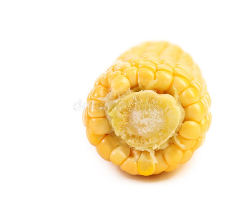 Piece of Corn Cob an End View Stock Photo - Image of food, grain: 59438176