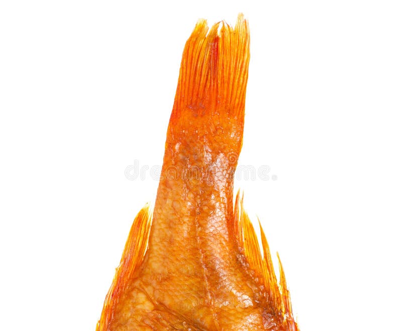 Tail of smoked fish perch stock image. Image of delicious - 121648453