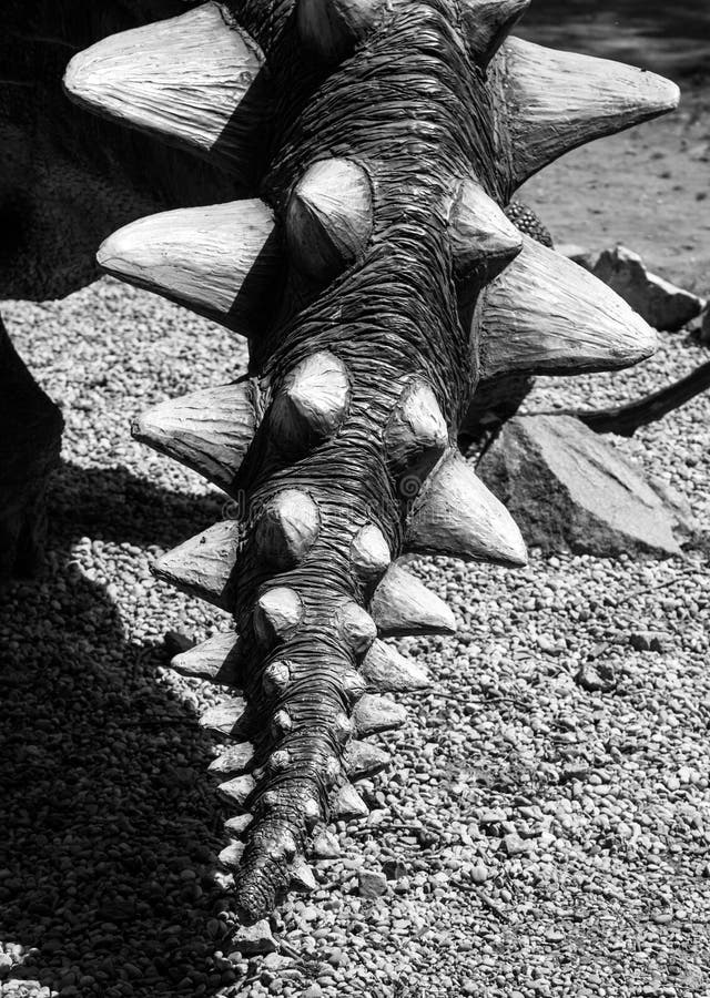 Dinosaur Segnosaurus Stock Photos - Free & Royalty-Free Stock Photos ...