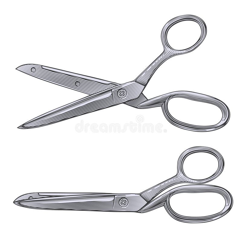 Tailor Scissors in Engraving Style Stock Vector - Illustration of ...