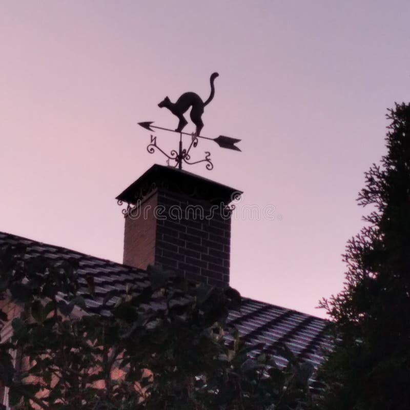 164 Tailwind Cartoon Stock Photos - Free & Royalty-Free Stock Photos ...