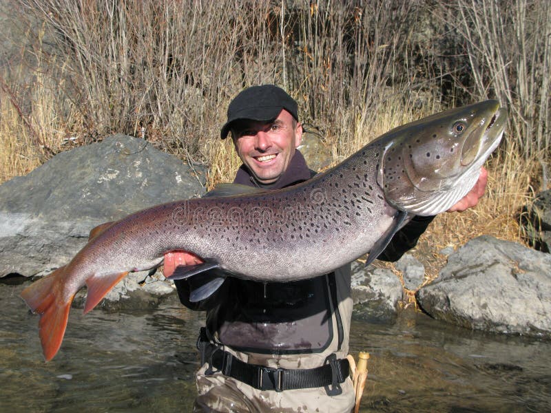 Taimen fishing in Mongolia stock photo. Image of morning - 27742050