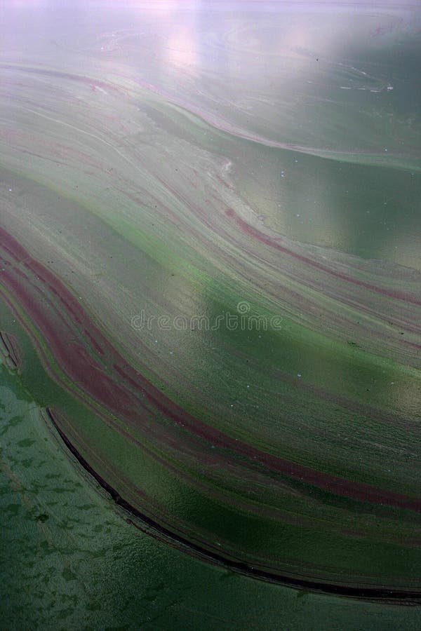Tainted Water stock photo. Image of contamination, oily - 3106924