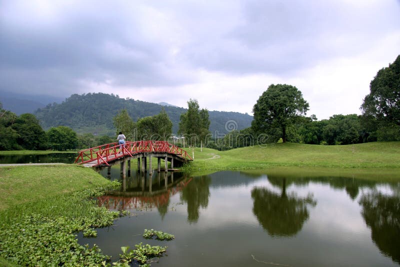 Taiping Lake Garden stock photo. Image of forrest, relax - 490944