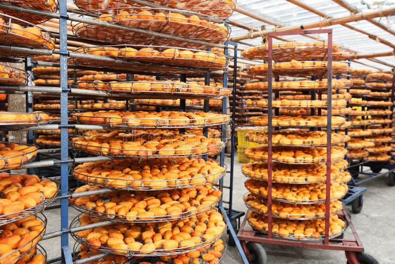 Taiwan drying persimmons stock photo. Image of persimmon - 135139422