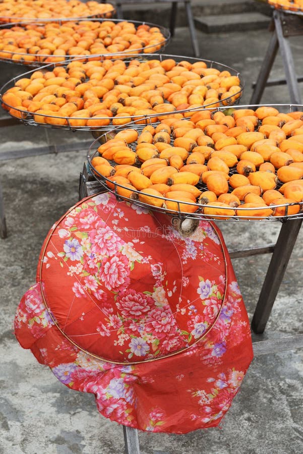Taiwan drying persimmons stock photo. Image of persimmon - 135139540