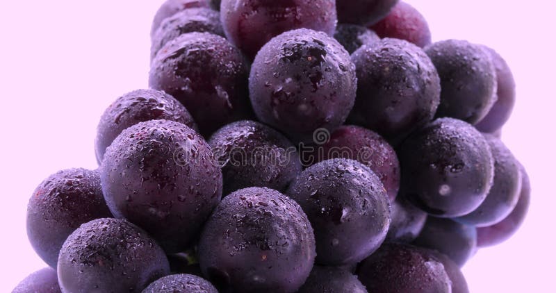 Taiwan, Fruit, Kyoho Grapes, Purple Grapes, Grapes Stock Video - Video ...