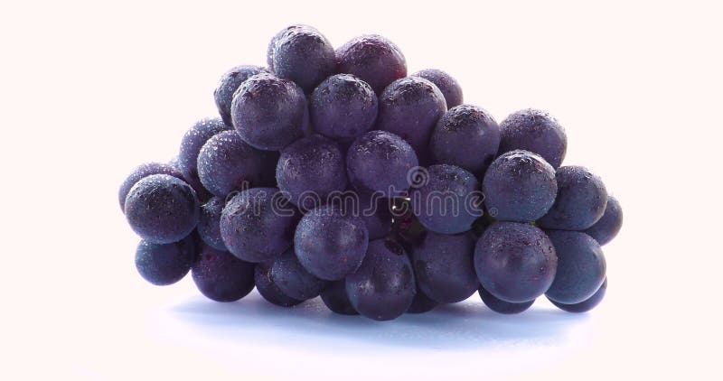 Taiwan, Fruit, Kyoho Grapes, Purple Grapes, Grapes Stock Footage ...