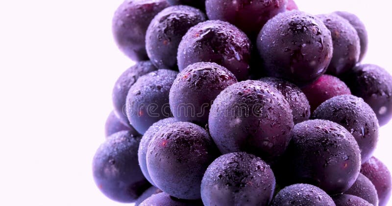 Taiwan, Fruit, Purple, Kyoho Grapes Stock Video - Video of fresh, white ...