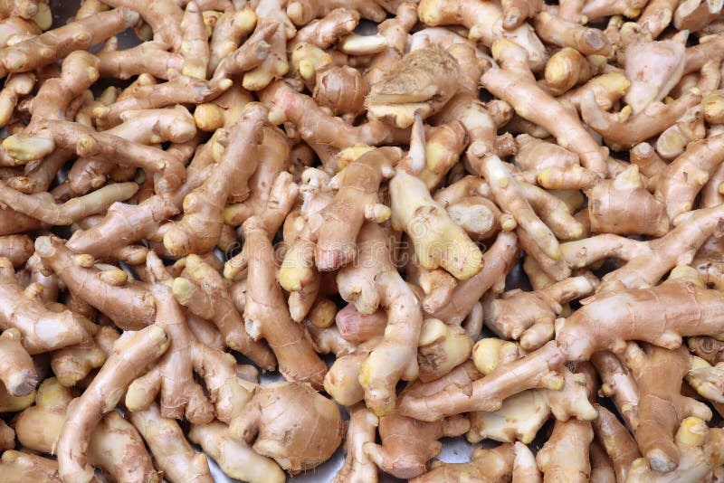 1,164 Taiwan Ginger Stock Photos - Free & Royalty-Free Stock Photos ...