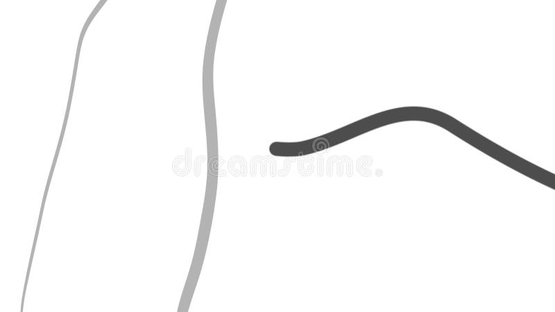 Taiwan - Hand-Drawn Map Animation Stock Footage - Video of minimalist ...