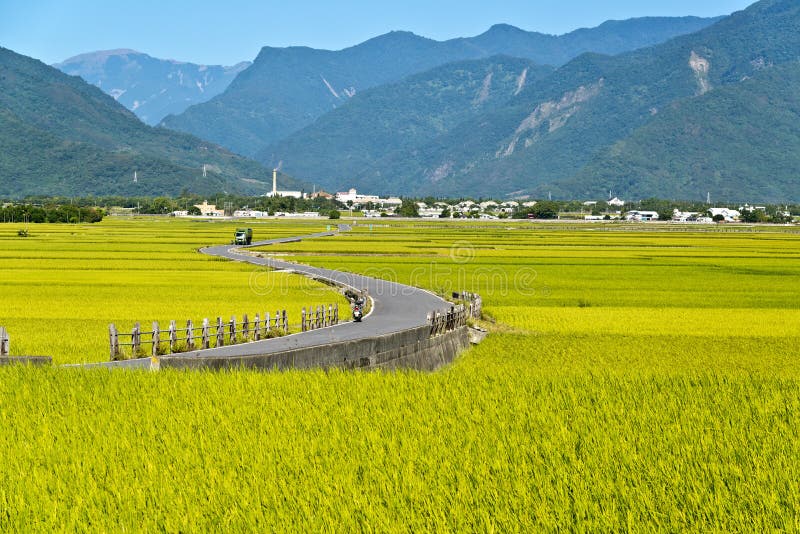 Taiwan rural scenery stock photo. Image of paddy, health - 36220334
