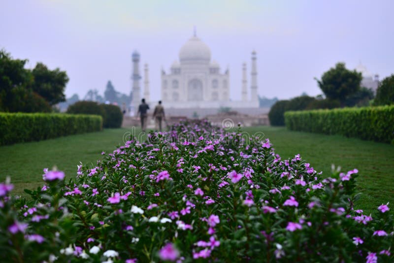 Taj-Mahal mausoleum stock image. Image of tajmahal, india - 60497867