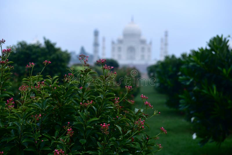 Taj-Mahal mausoleum stock image. Image of architecture - 60668307