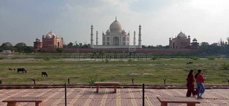 Taj Mahal View from Mehtab Bagh Agra Editorial Photo - Image of mahal ...