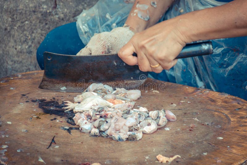 Tajada De La Rana Para Cocinar Una Comida Foto de archivo - Imagen de ...