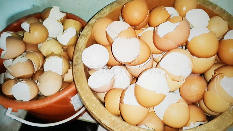 Take Advantage of Egg Shell. Stock Image - Image of advantage, eggshell ...