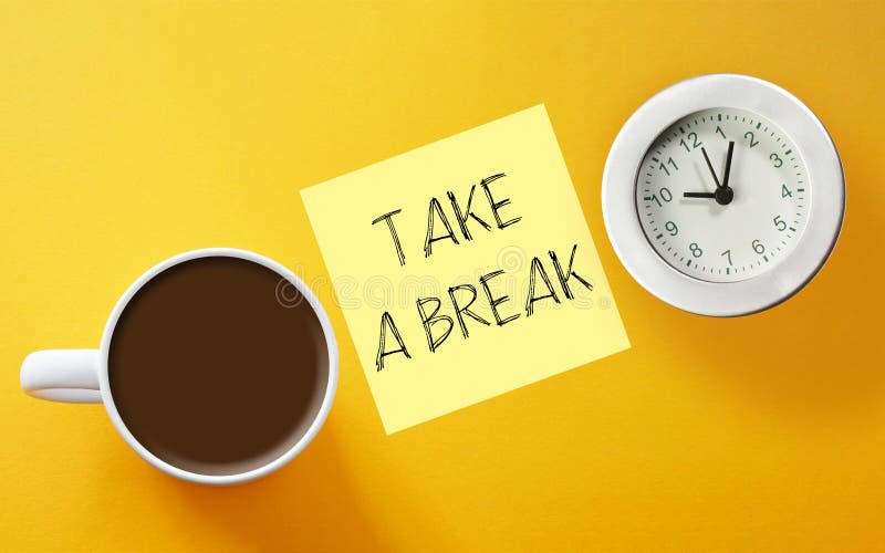 Little Rest for Lofoten`s Eagle Stock Photo - Image of arctic, diving ...