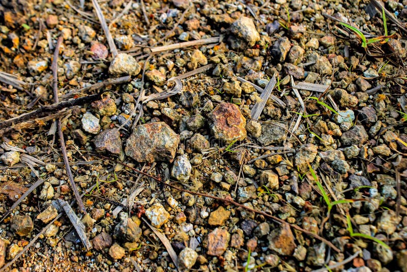 Take a Close Look at the Orange Pebbles on the Path Stock Image - Image ...