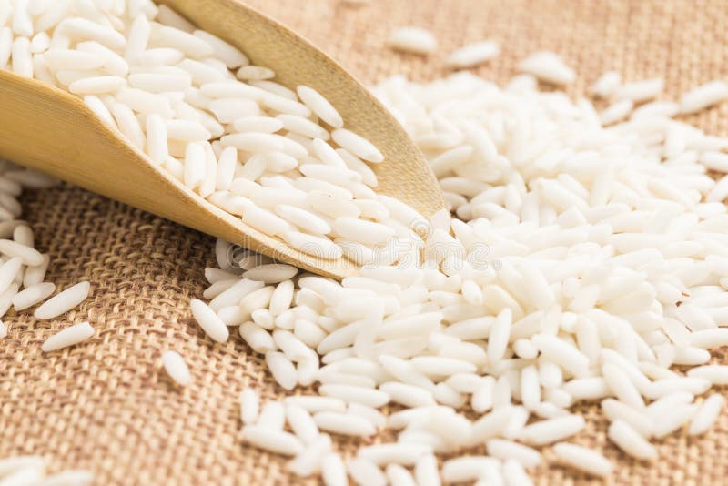 Nutritious rice stock image. Image of agriculture, green - 160266255