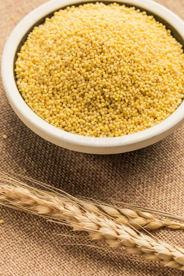 Nutritious millet stock photo. Image of close, agriculture - 160263092