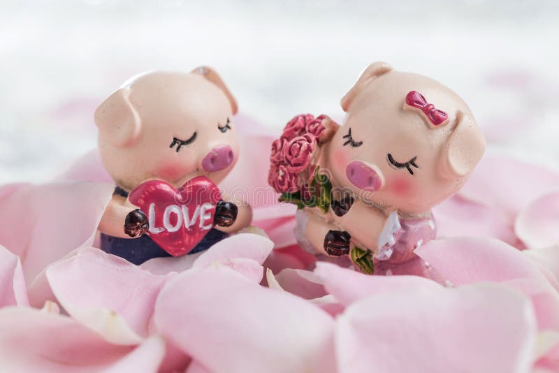 Two Piglets in a Rose Petal Stock Image - Image of flowers, gift: 160788841