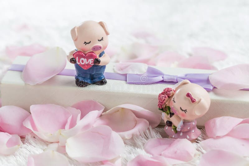 Two Piglets in a Rose Petal Stock Image - Image of cute, lovers: 160788843