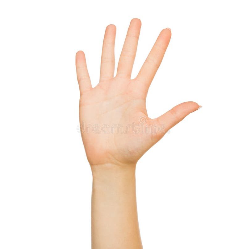 Outstretched Hand Palm Stock Images - Download 1,592 Royalty Free Photos