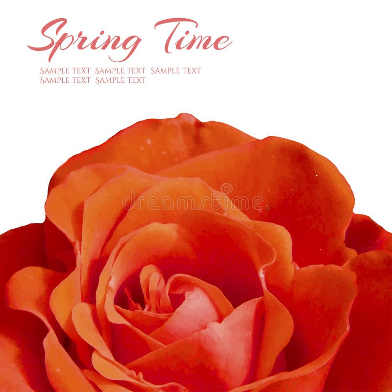 Take a Flower on Floral Background Stock Vector - Illustration of ...