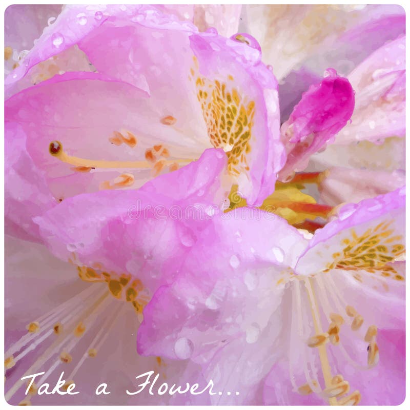 Take a Flower on Floral Background Stock Vector - Illustration of ...