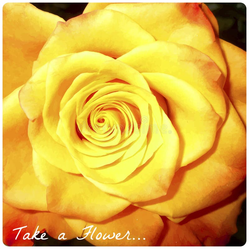 Take a Flower on Floral Background Stock Vector - Illustration of ...