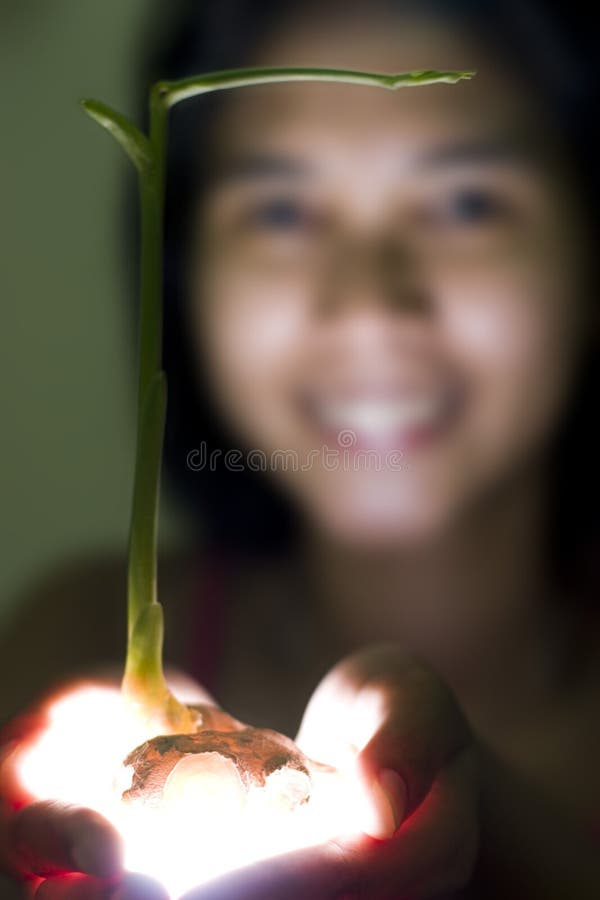 Take this Gift stock image. Image of hold, woman, gift - 1289301