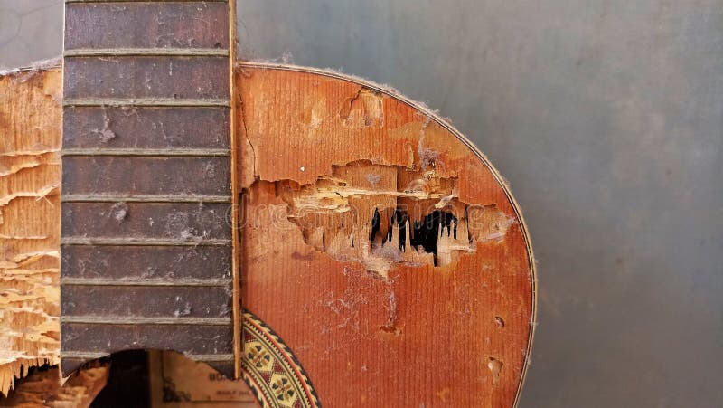 Guitar damage by termites stock image. Image of care - 279174449