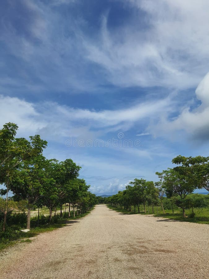 Take Me Home. the Return Trip Was Very Comfortable Stock Image - Image ...