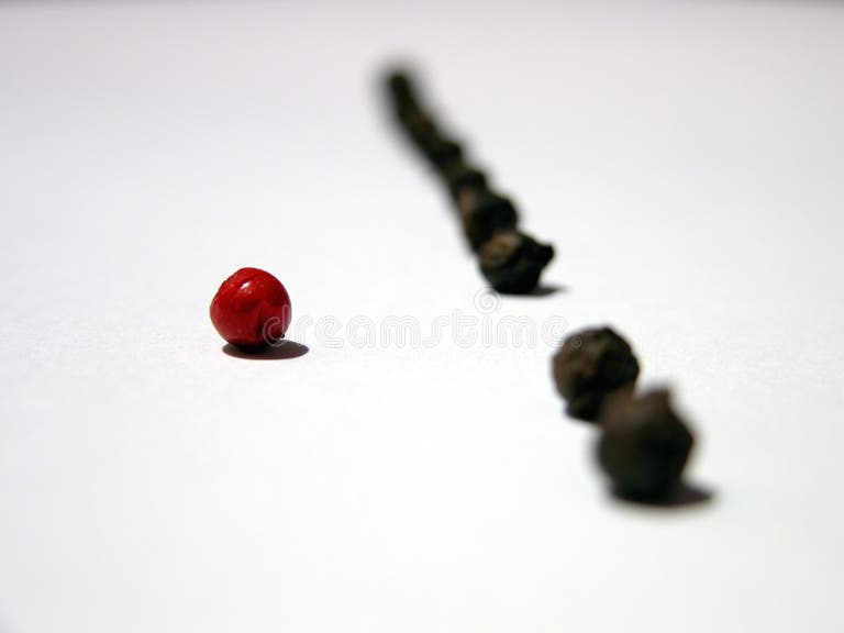 1,612 Take Me To Valeris Stock Photos - Free & Royalty-Free Stock ...