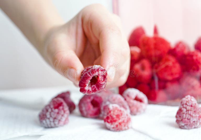 Take raspberries by hand stock photo. Image of hand - 264920758