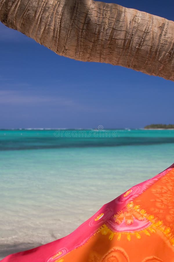 Take a rest stock photo. Image of tropical, nature, shore - 5205156