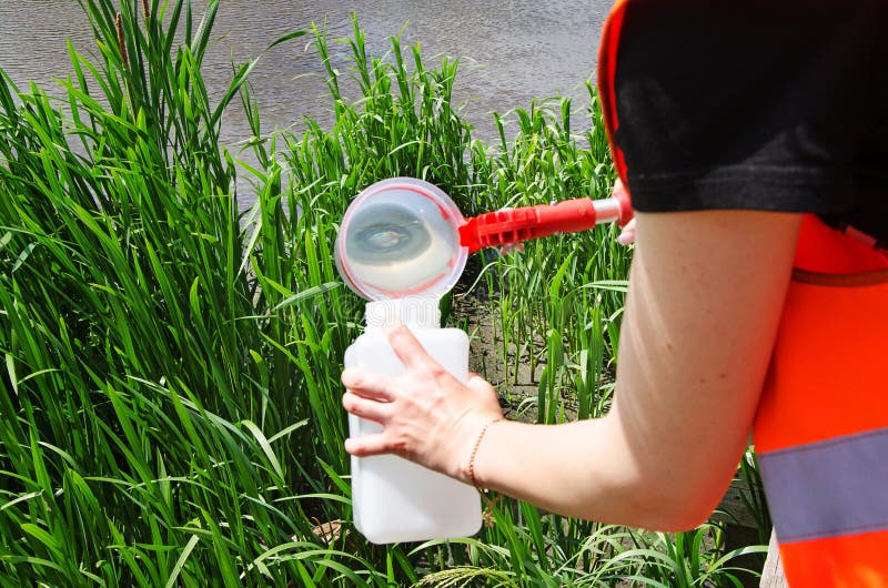 Take Samples of Water for Laboratory Testing. the Concept - Analysis of ...