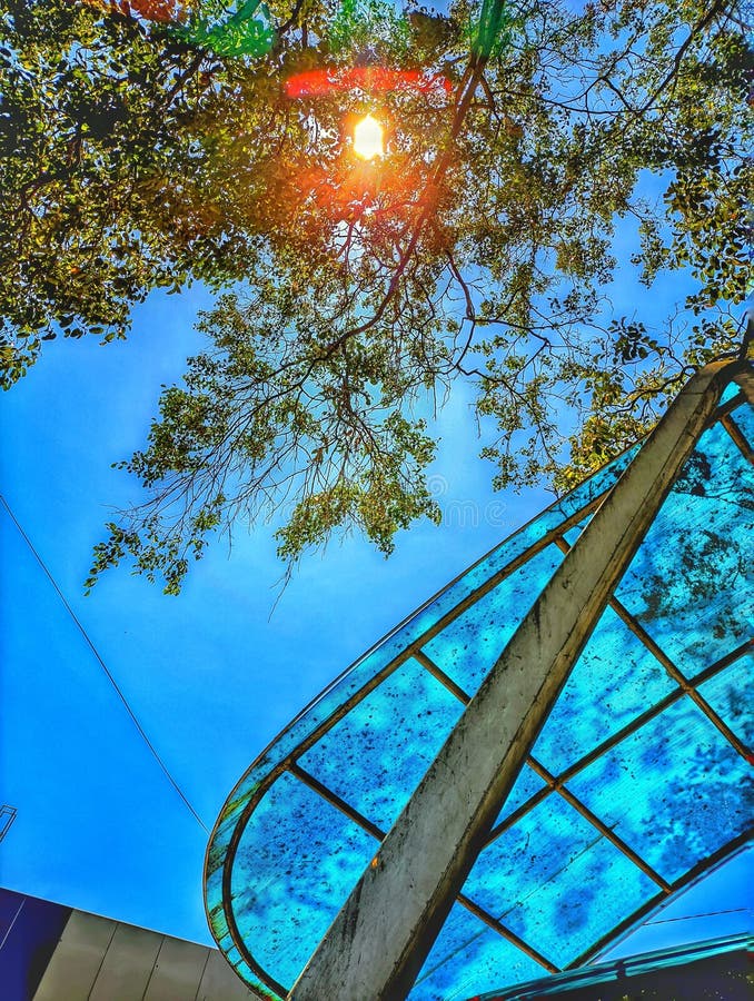 Take shelter under a tree stock image. Image of beautiful - 255574525