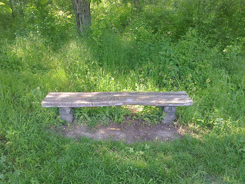 Take a sit stock photo. Image of outdoors, rest, grass - 92875304