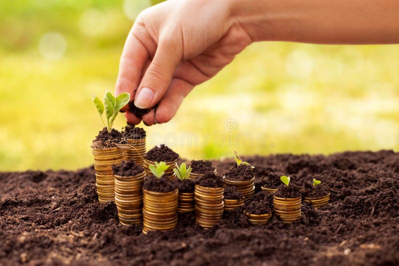 Take the Time,save the Money Stock Photo - Image of investment, cash ...