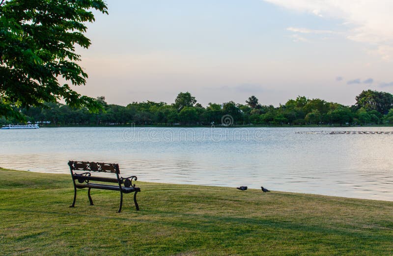 Take a view stock image. Image of bird, grass, tranquil - 40961837