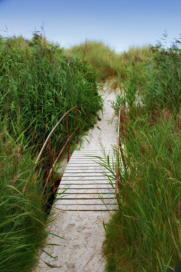 Take a Walk through Nature. a Wooden Bridge of a Stream. Stock Photo ...