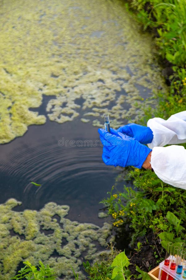 Take a Water Sample from the River. Selective Focus Stock Image - Image ...