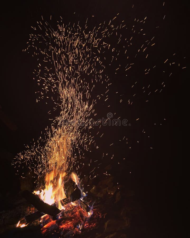Fireflies stock photo. Image of sparks, fireflies, night - 151007524
