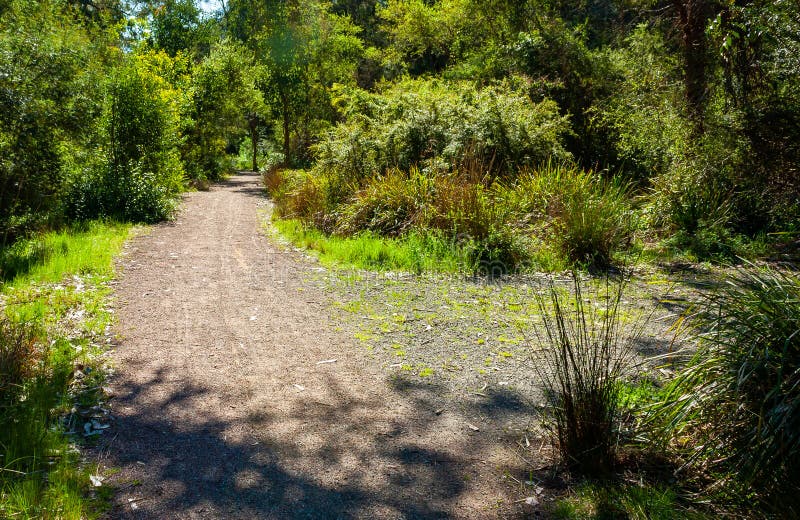 Two Paths on a Trail in Melbourne Stock Image - Image of backpacking ...