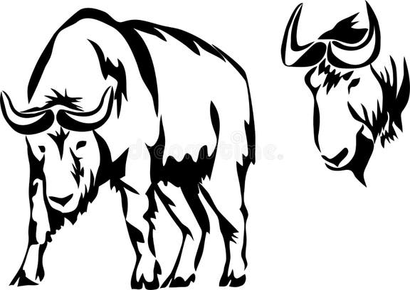 Takin vector stock vector. Illustration of ungulate - 261198992